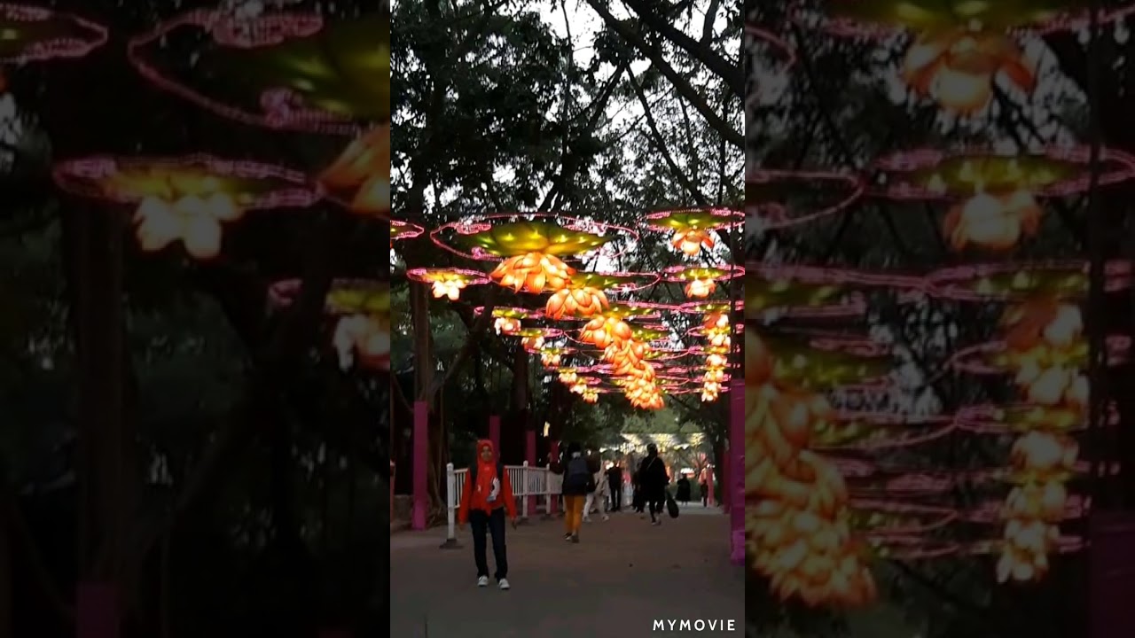 Zhen zhen, China - YouTube