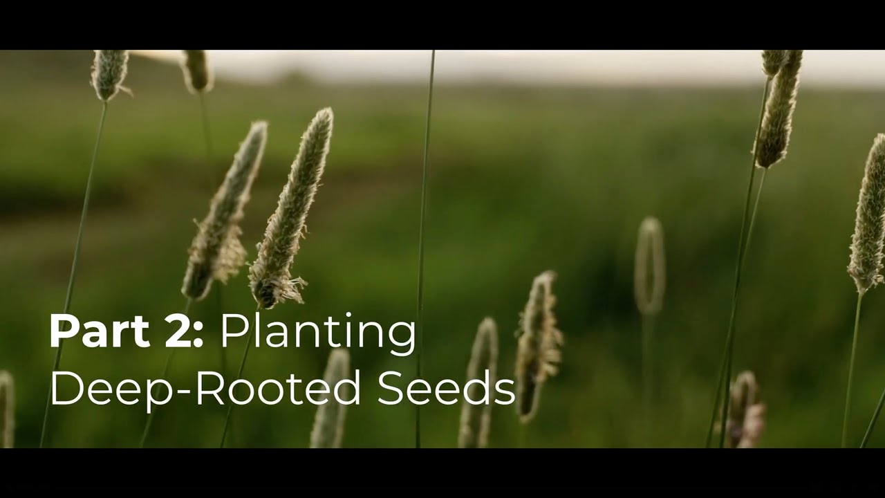 Farming a Legacy Part 2 | Planting Deep-Rooted Seeds - YouTube