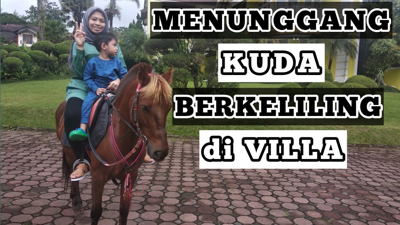 Preview Yasmin Hotel Cipanas, Hotel Murah di puncak - fasilitas bintang ...