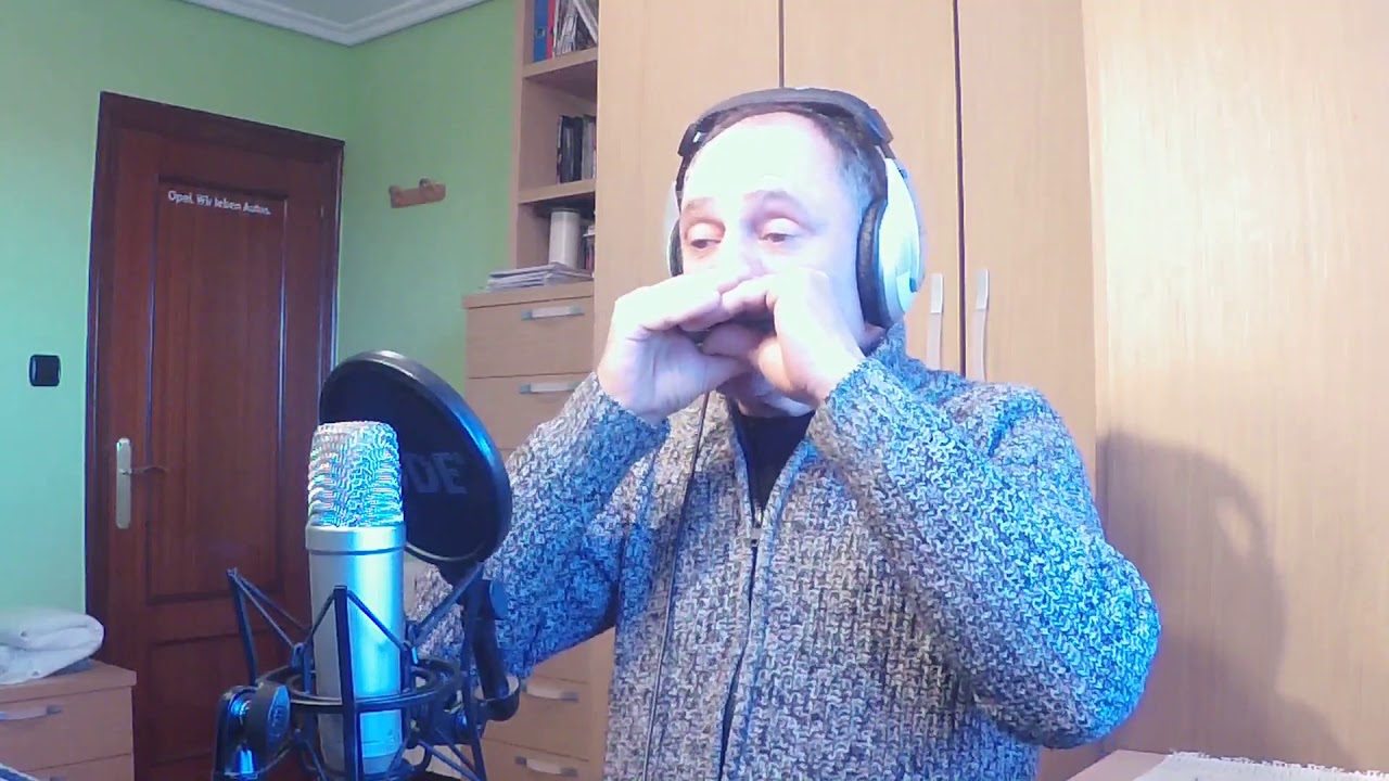 The Killers Human instrumental harmonica armónica - YouTube