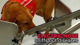 This Cloaking Device Actually Works! | Safe Videos for Kids