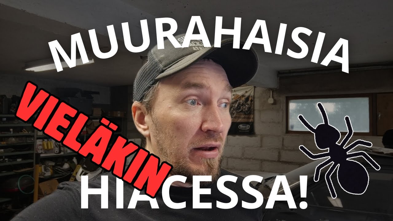 Muurahaisia Hiacessa VIELÄKIN! - YouTube
