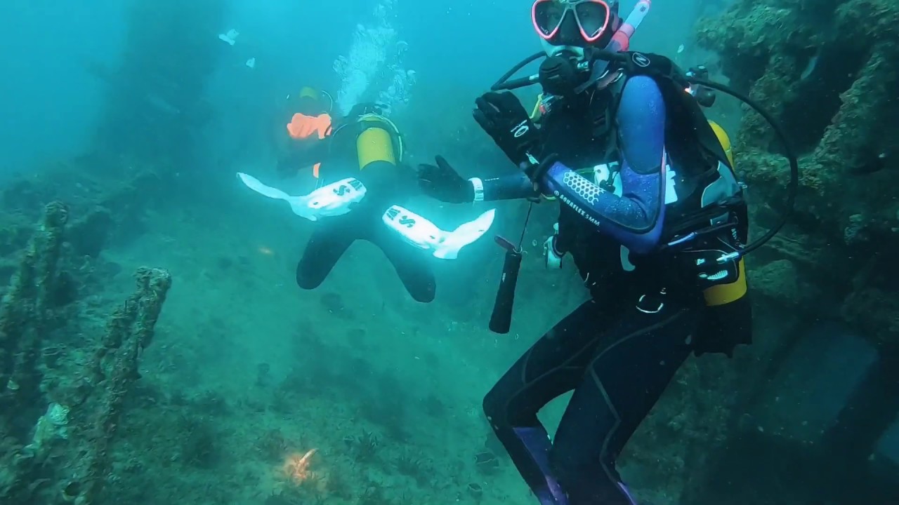 GoPro Hero 7 Black - Busselton Jetty Night Dive & HMAS Swan Wreck Dive ...