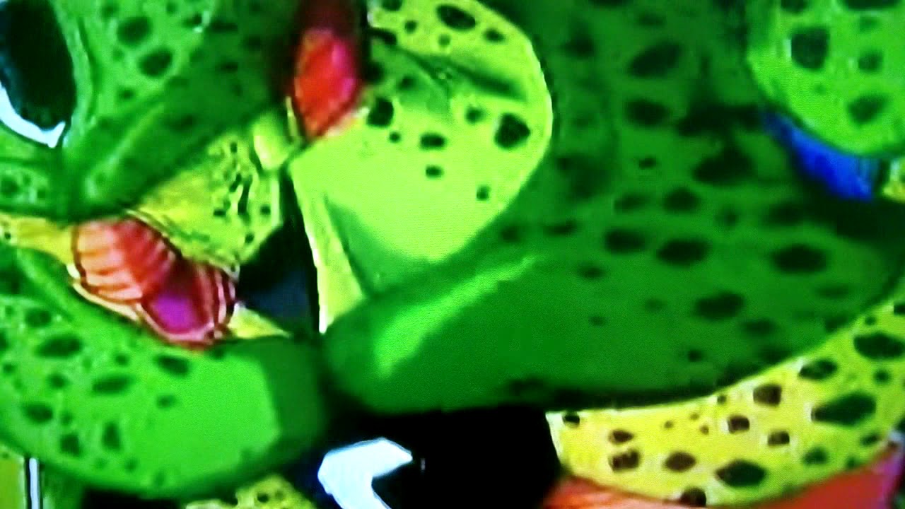 Cell absorbe a número 17 - YouTube