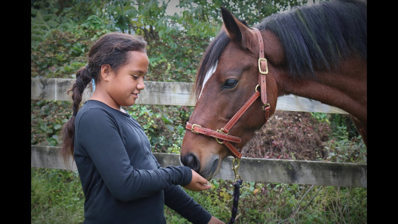 Introduction to Hope Rising Farm - YouTube