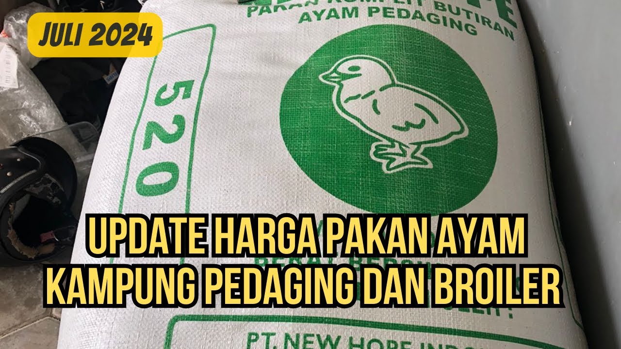 Harga Pakan New Hope Ayam Kampung Pedaging dan Broiler Juli 2024 - YouTube