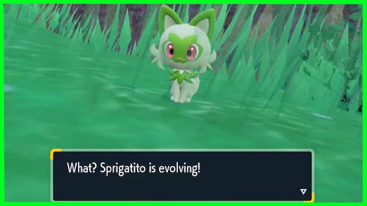Sprigatito Evolution Chain - Pokemon Violet Starter Pokemon Forms ...