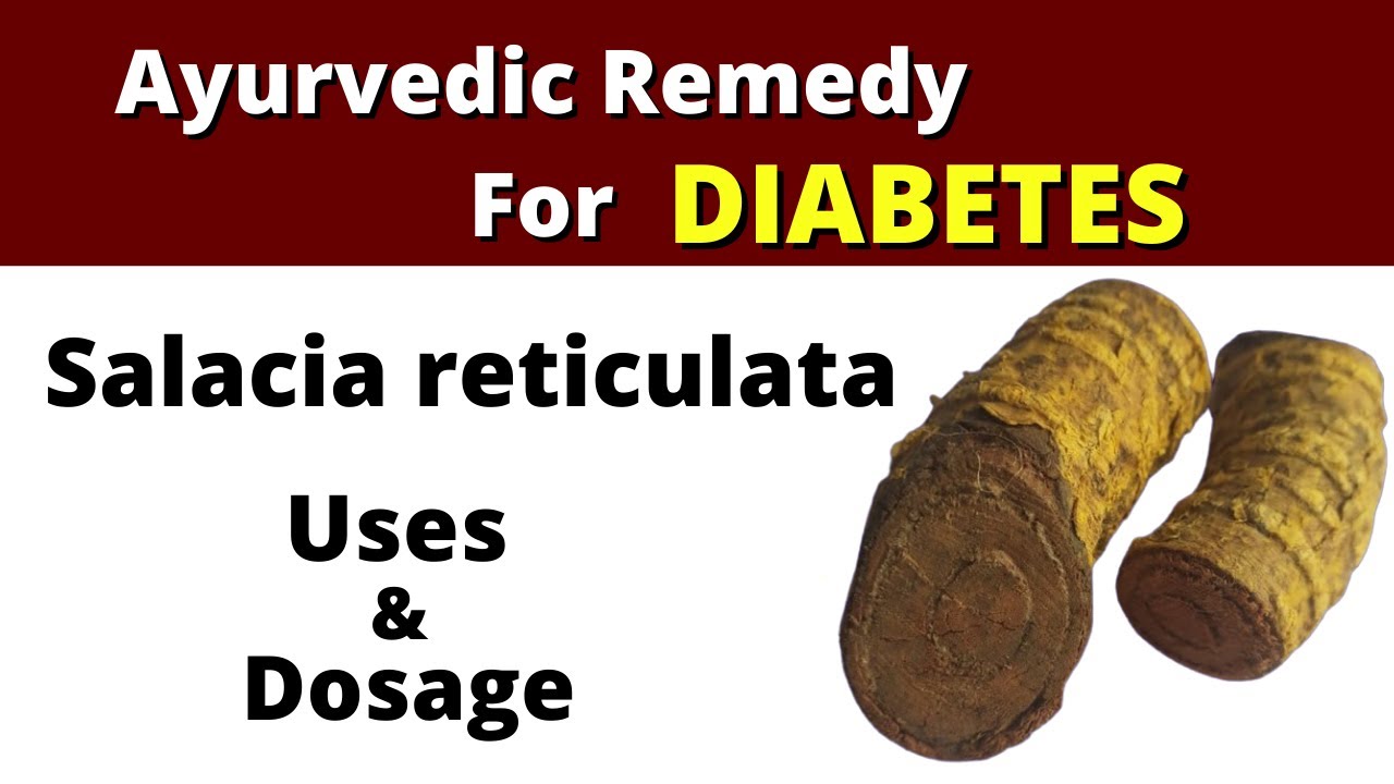 Salacia reticulata for diabetes | Ekanayakam benefits | ayurvedic ...