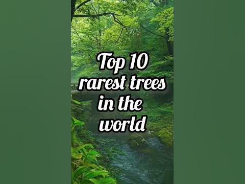 Top 10 rarest trees in the world || World's Rarest trees - YouTube