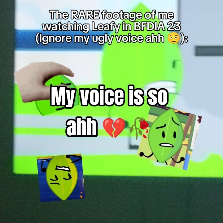 #LEAFY | I hate my voice so much 💔 #bfdi #leafybfdi #edit #fyp #meme ...