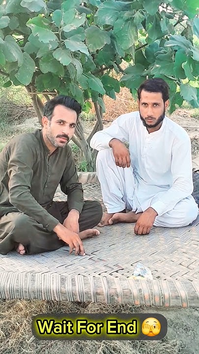 BHUTTA Jaldi Krr Gya| Shorts| Fayyaz Malik|Mohsin|Yaqoob| - YouTube