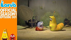 2 MIN - Larva Season 1 - YouTube
