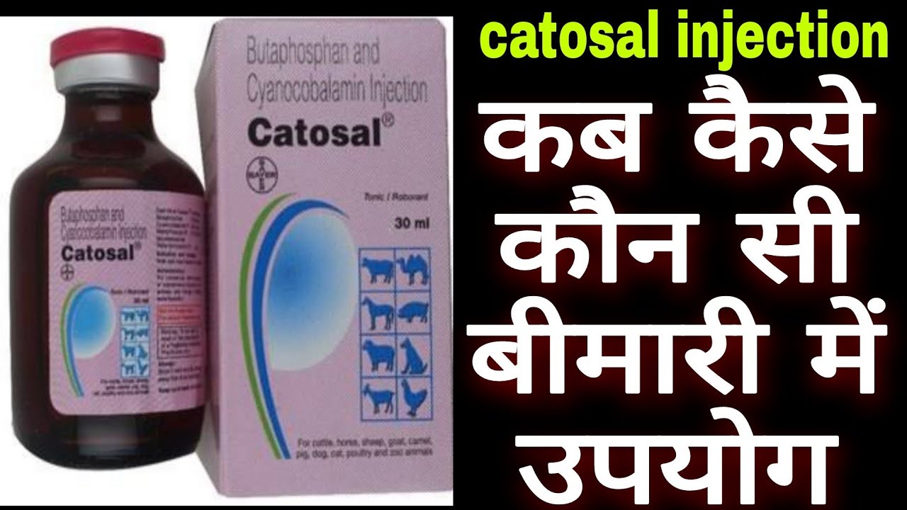 Catosal injection uses in hindi कटसल इंजेक्शन का उपयोग - YouTube