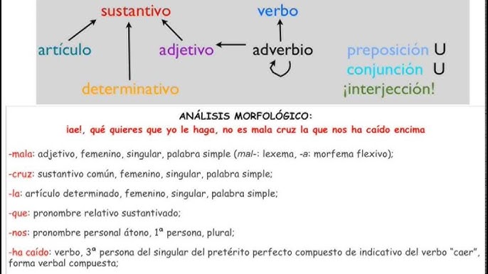 Analisis Morfologico Análisis Morfológico Ficha Interactiva
