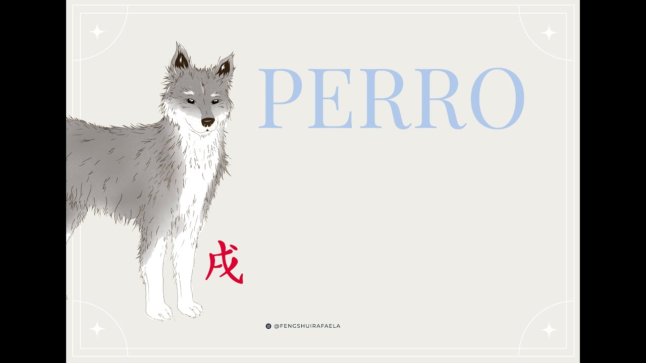 Predicciones para el signo Perro en el Mes del Cerdo (7/11 - 5/12 ...