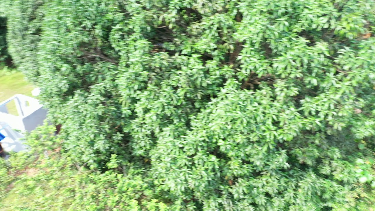 Mabiga aerial view - YouTube