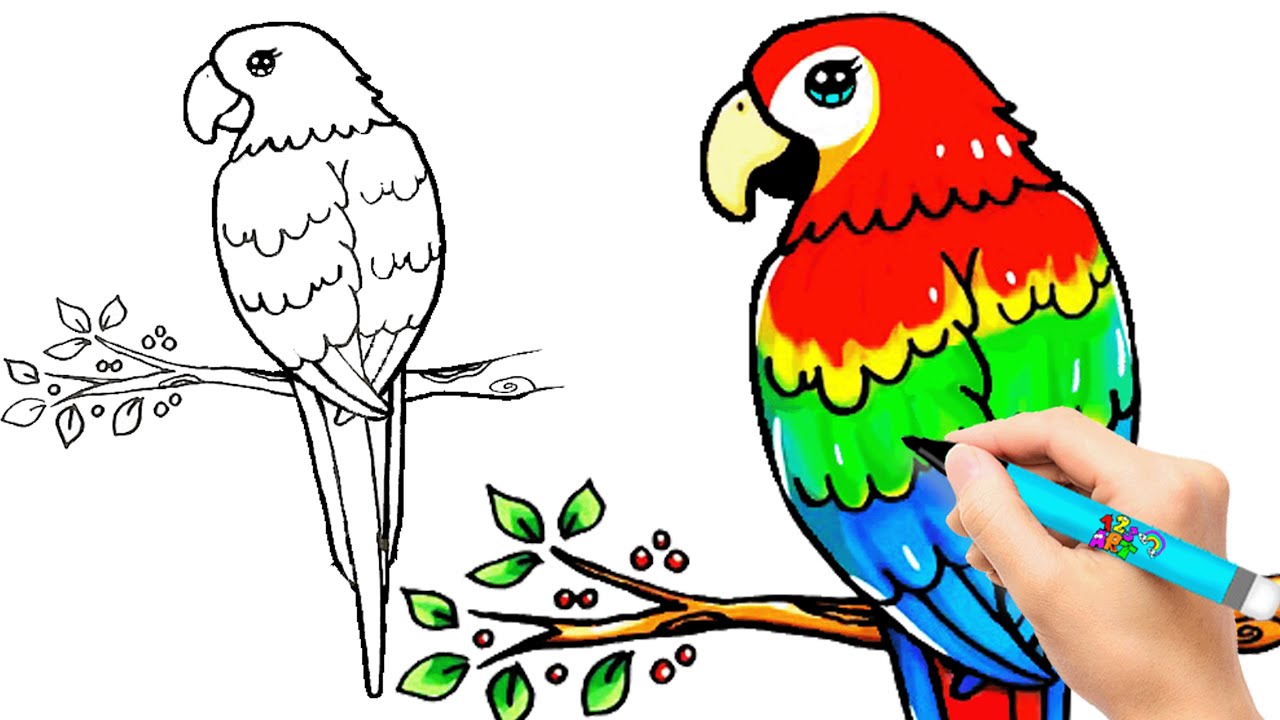 EINEN PAPAGEI ZEICHNEN 🦜 WIE MAN EIN PAPAGEI EINFACH ZEICHNET 😍 EIN ...