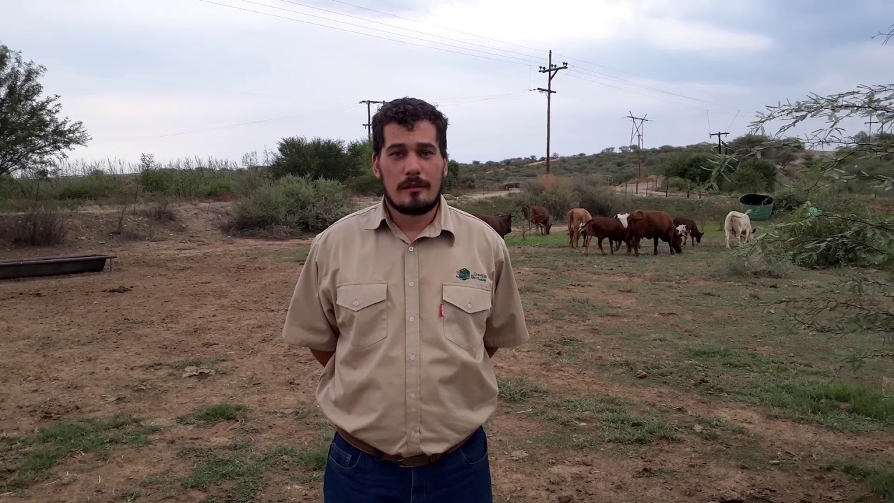 Jan-Abram 2020 usafarmlabor - YouTube