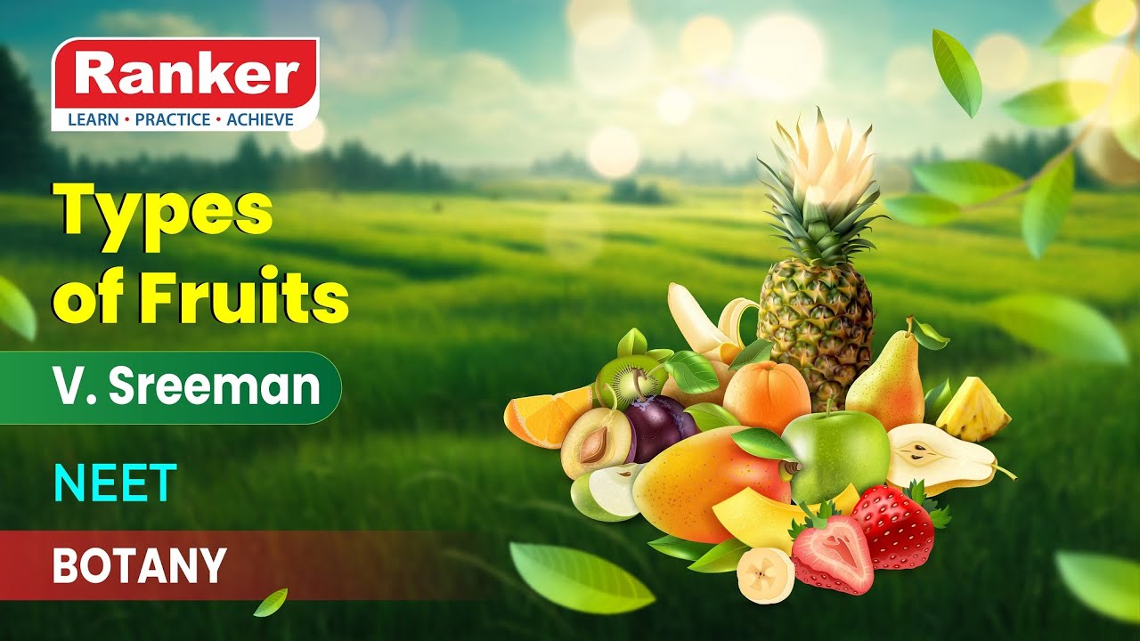 Structural Organization in Plants | Fruit | Types of Fruits | Botany ...