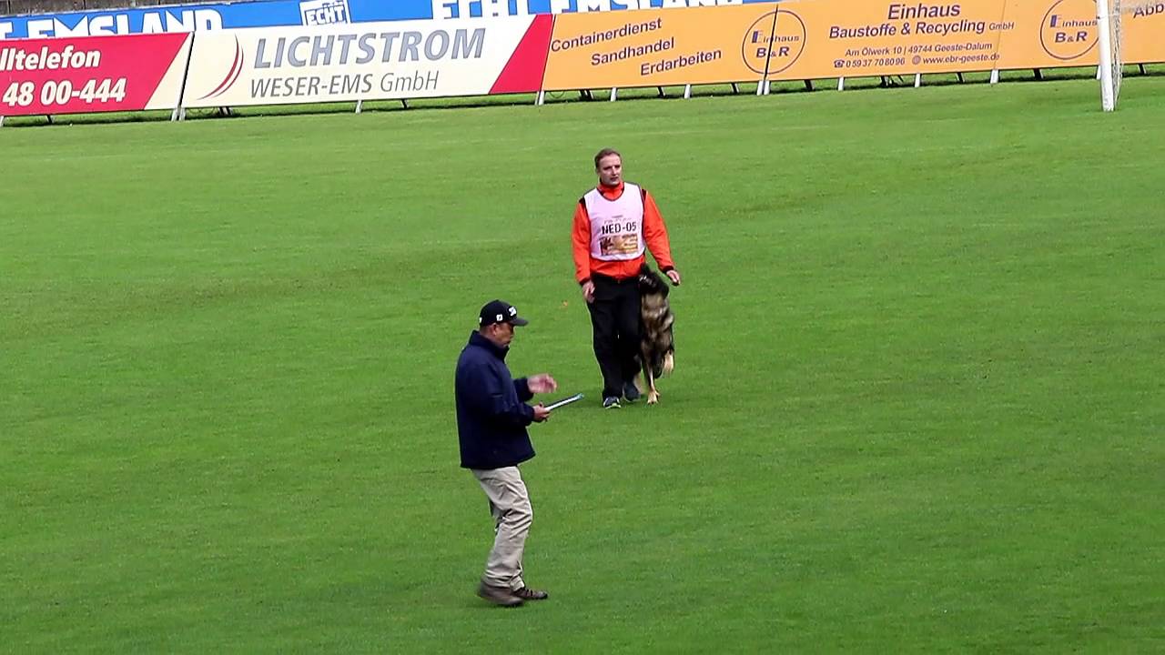 WUSV 2016 Falco Schoemaker Jago v Haus Sevens Obedience 70P - YouTube