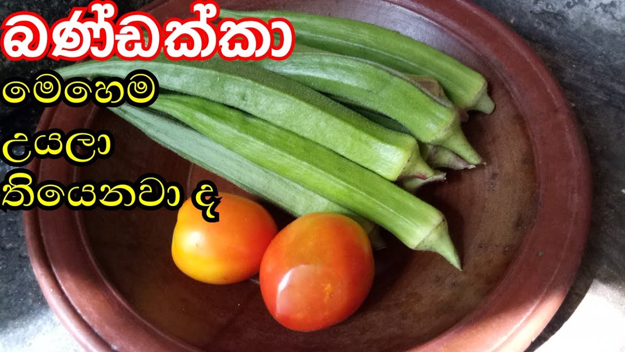 බණ්ඩක්කා මෙහෙම උයලා තියෙනවා ද / bandakka recipe / - YouTube