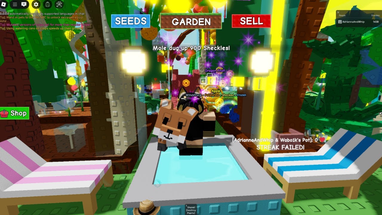 🔴🔴 Roblox Grow a Garden update Beach Chairs & Swimming Pools & Seed ...