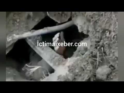 Möhtəşəm görüntü Esgarlamiz ermanini bəla tutdu qaqa aya qaqa yoxe diğa başına lapatka vur