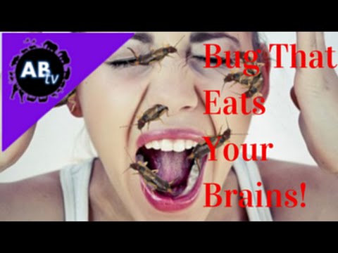 Bug That Eats Your Brains! 5 Weird Animal Facts! - Ep. 12 ...