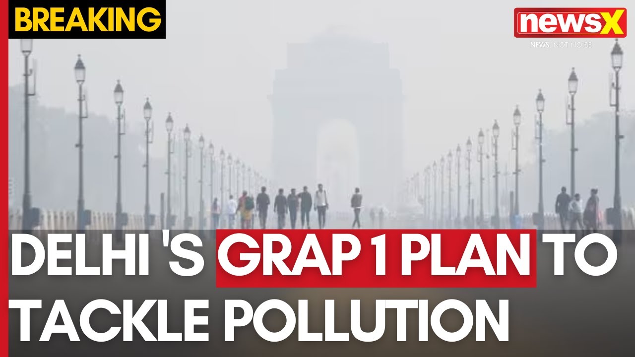Govt Activates GRAP 1 Plan In Delhi | Understanding Delhi Govt's GRAP 1 ...