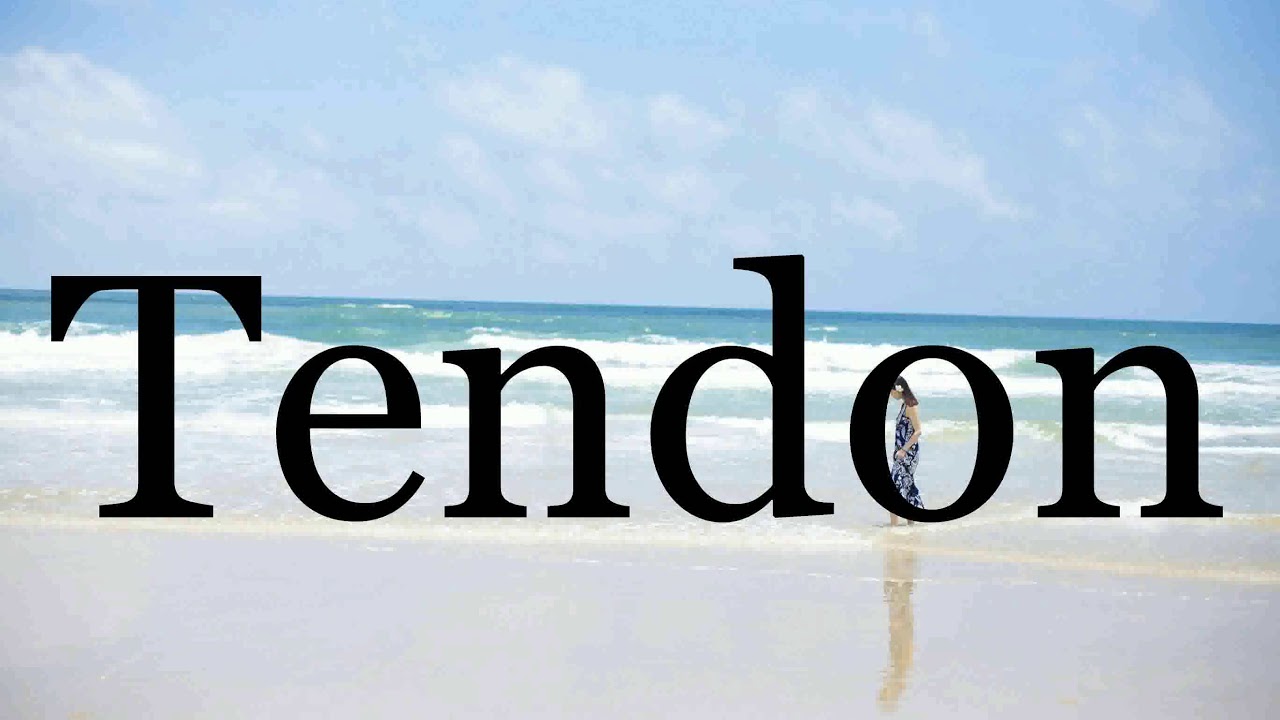 How To Pronounce Tendon🌈🌈🌈🌈🌈🌈Pronunciation Of Tendon - YouTube