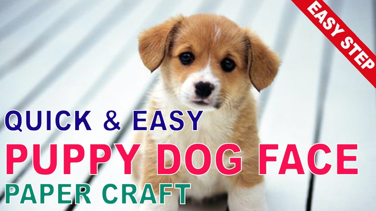 The Quickest & Easiest Way How to Make a Puppy Dog Face with Paper ...