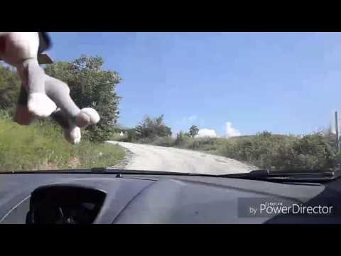 İskenderun Sakıt Kayısısı