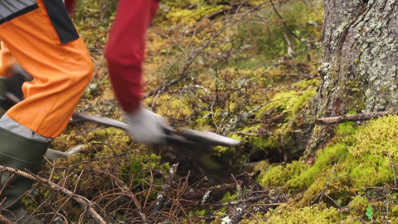 Viken Skog - planting - YouTube