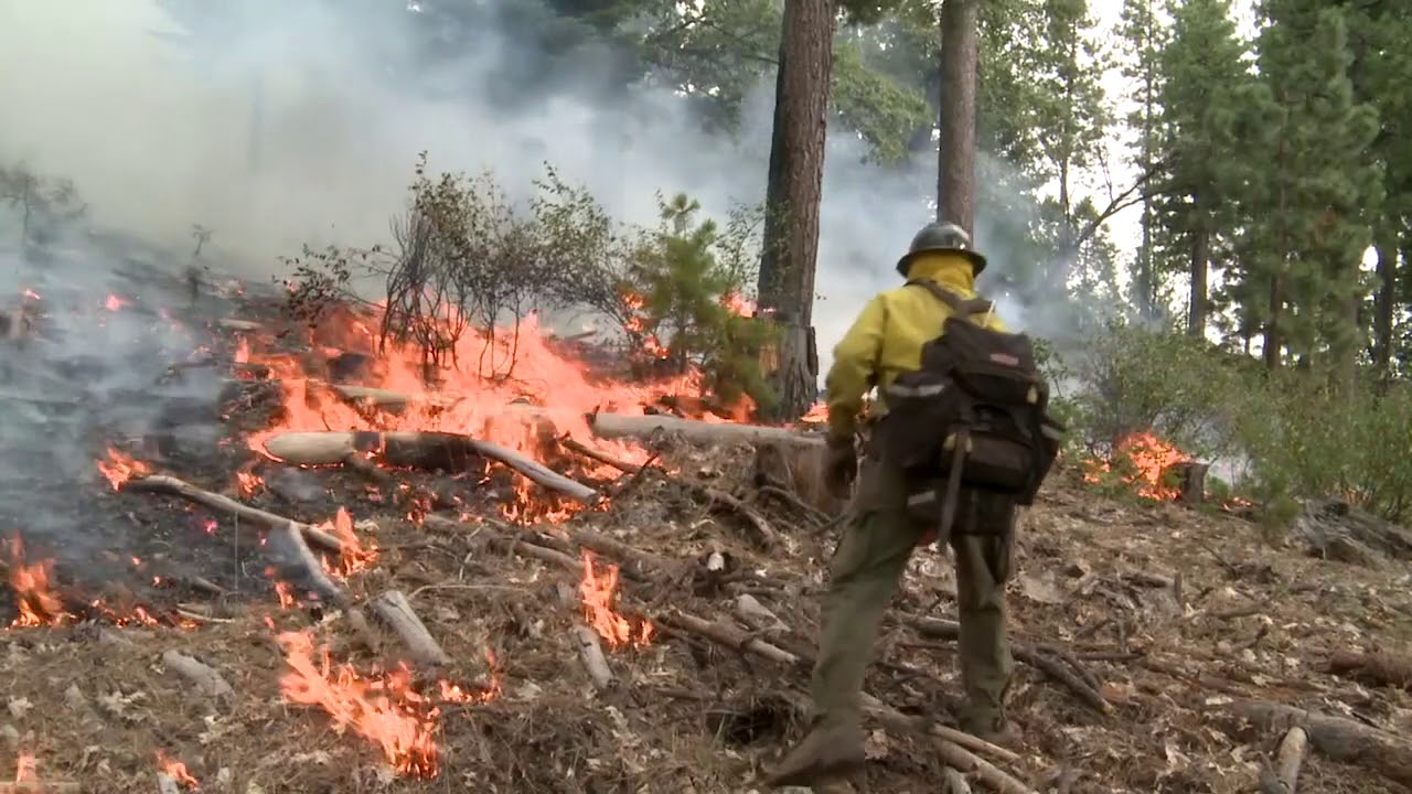 Wildfire PSA - YouTube