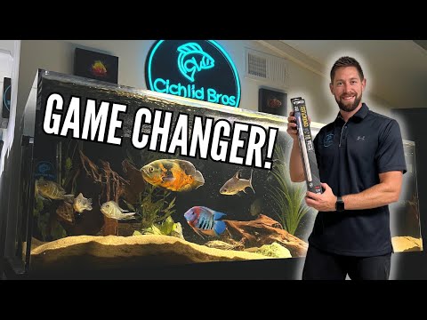 Aquarium Industry First! The NEW Sicce Scuba Contactless Aquarium Heater