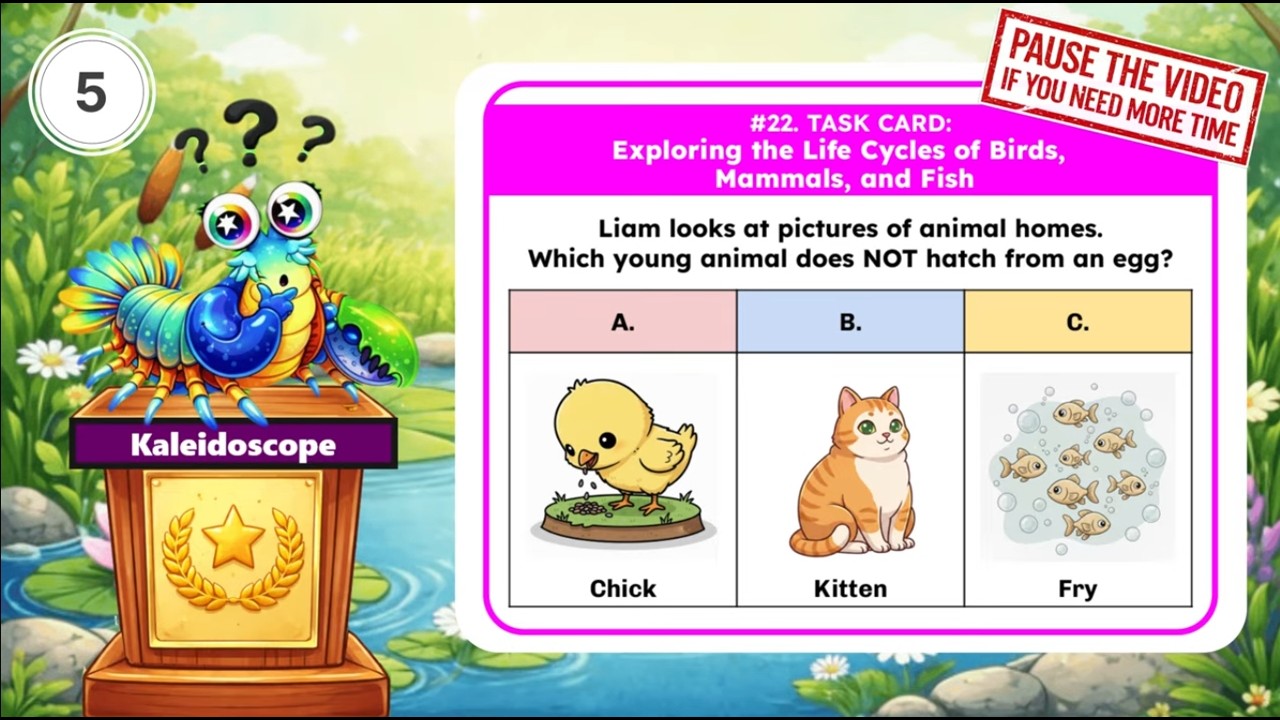 TEKS Science 1st Grade - 1.13B: Exploring the Life Cycles of Birds ...