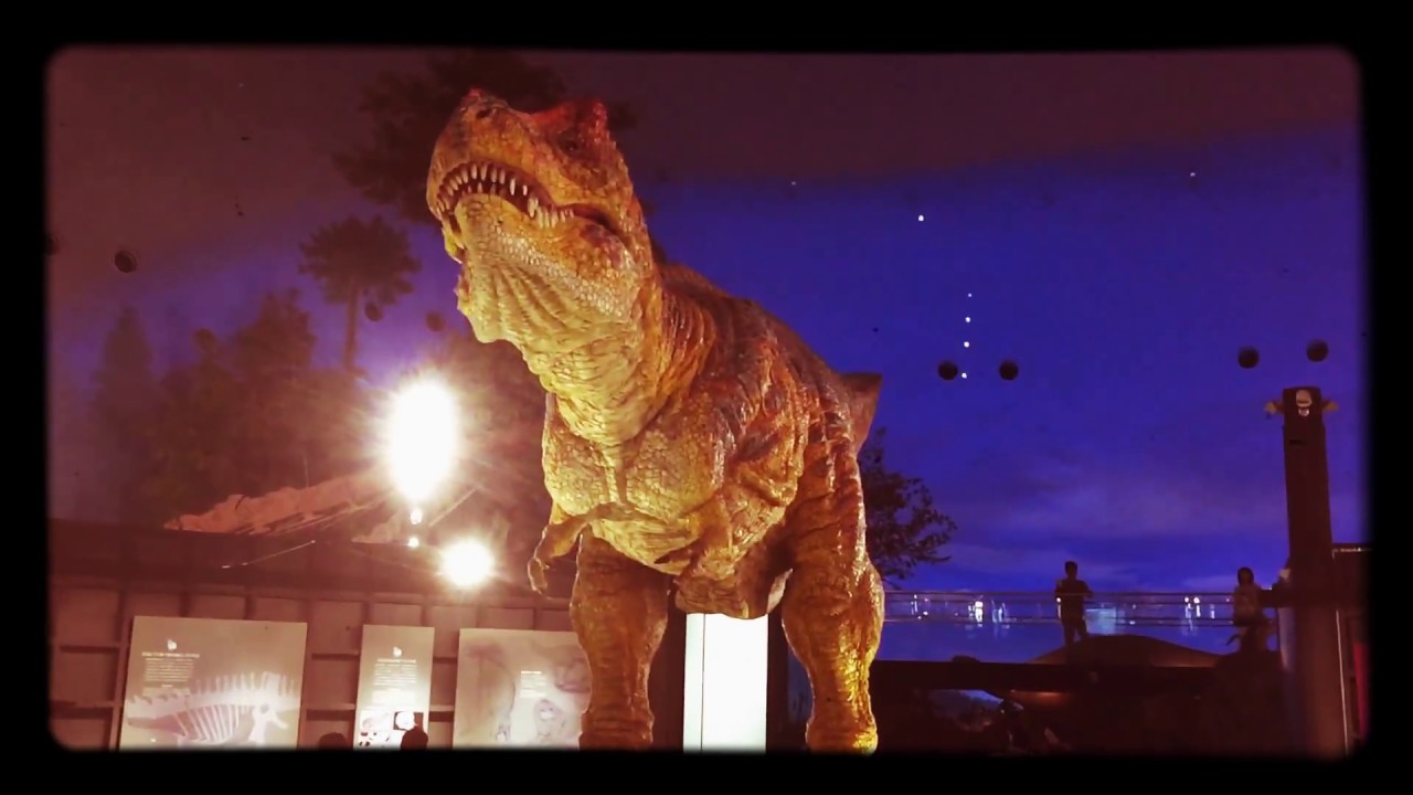 Record film of living T Rex! - YouTube