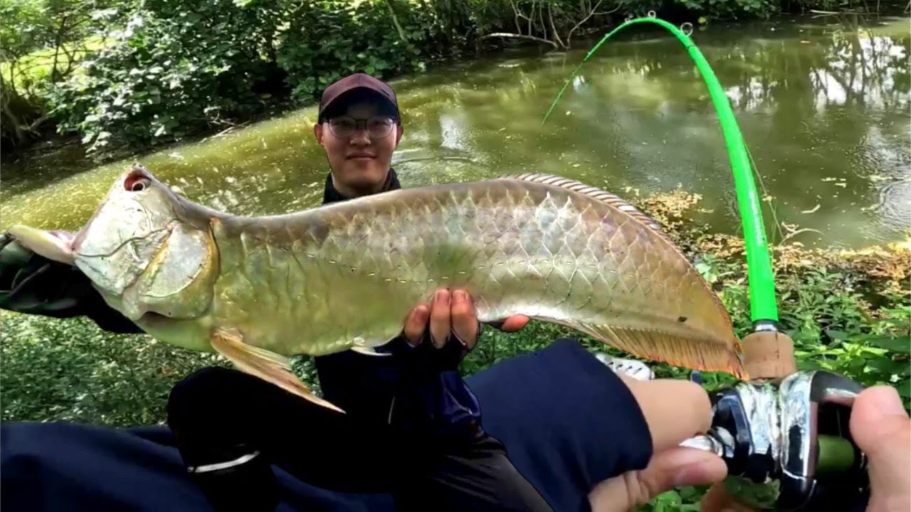 Best Fishing - Dragon fish - Amazing Hook Fishing - YouTube