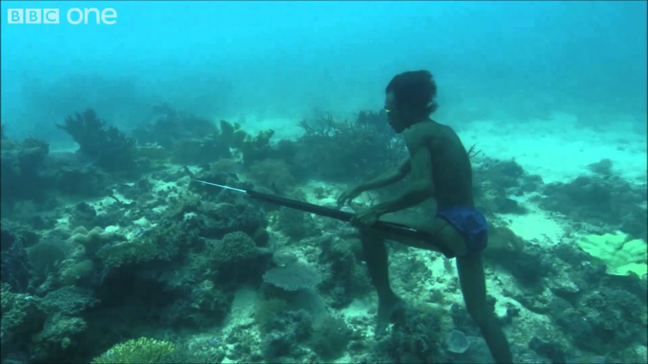 Underwater Fishing-BBC Human planet - YouTube