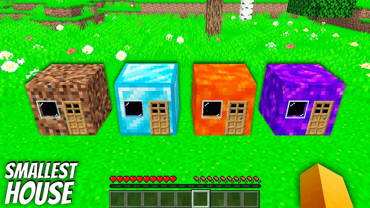 What's INSIDE the SMALLEST BLOCK HOUSE in Minecraft ? I found LAVA TINY ...