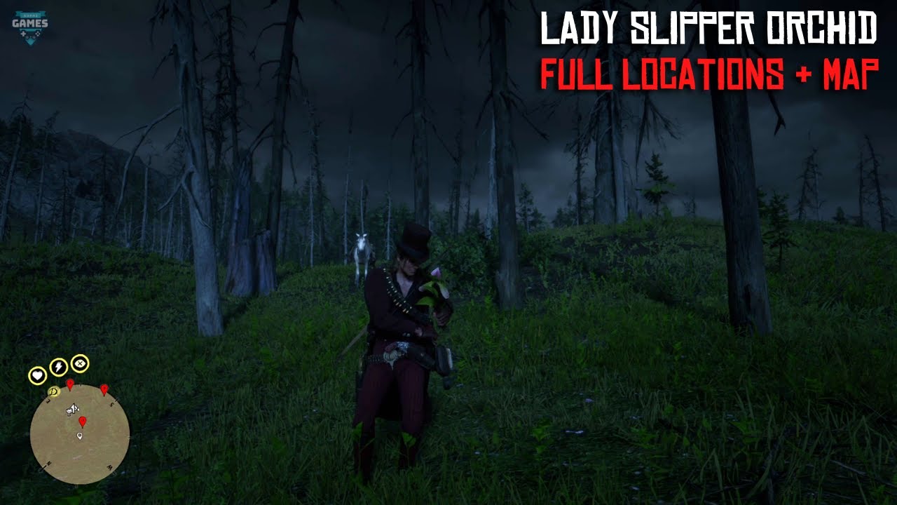 Red Dead Redemption 2 - COMPLETE All 7 Lady Slipper Orchid Full ...