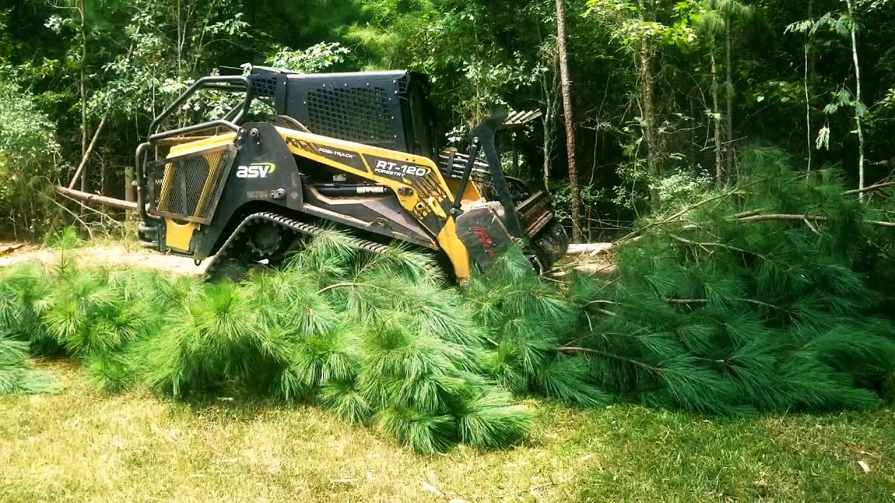 ASV 155 hp forestry mulcher with prinoth m450s - YouTube