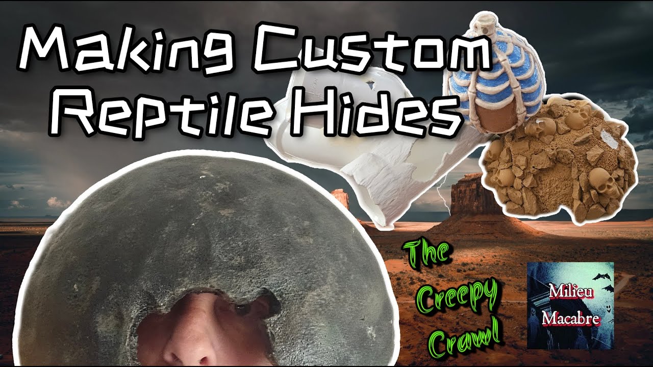 I'm starting a small CUSTOM Reptile Hide Biz - YouTube