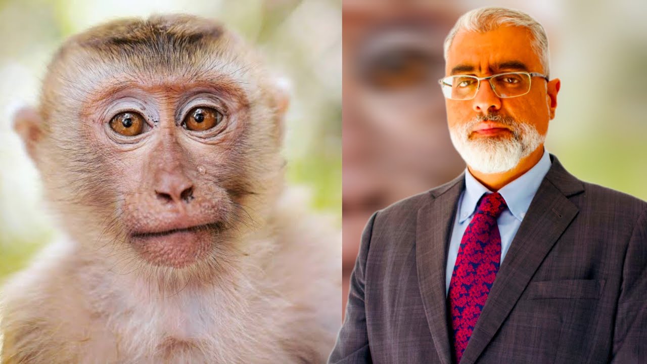 What Monkeys Teach us About Motivation and Dopamine #success # ...