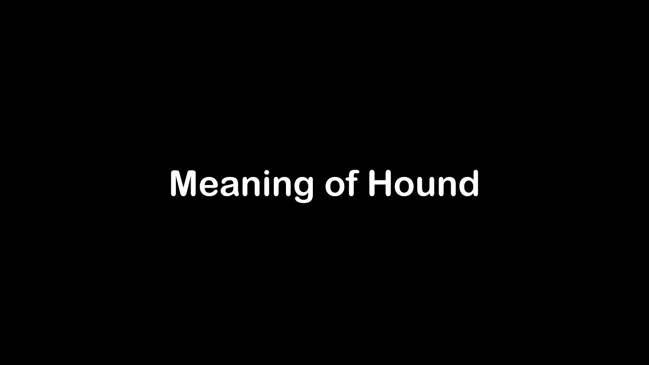 What is the Meaning of Hound | Hound Meaning with Example - YouTube