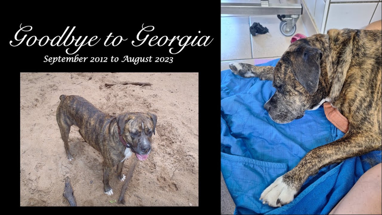 Goodbye Georgia - We lost our baby girl - YouTube