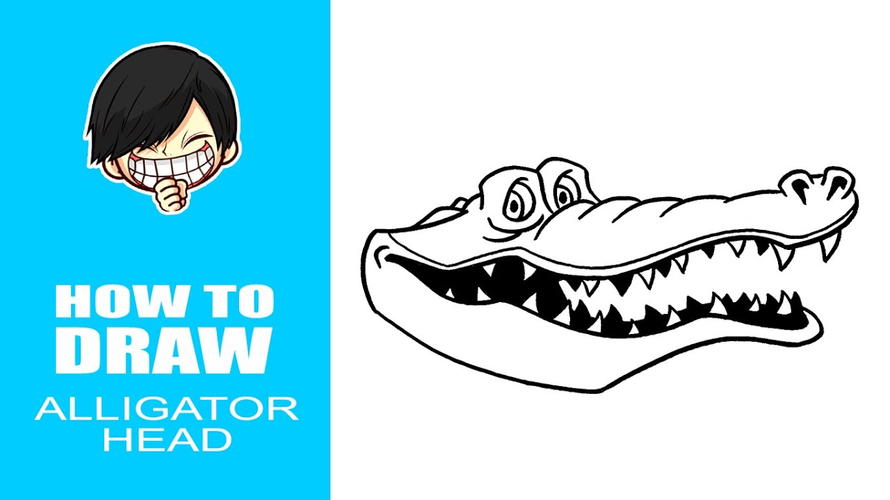How to draw Alligator Head step by step - YouTube