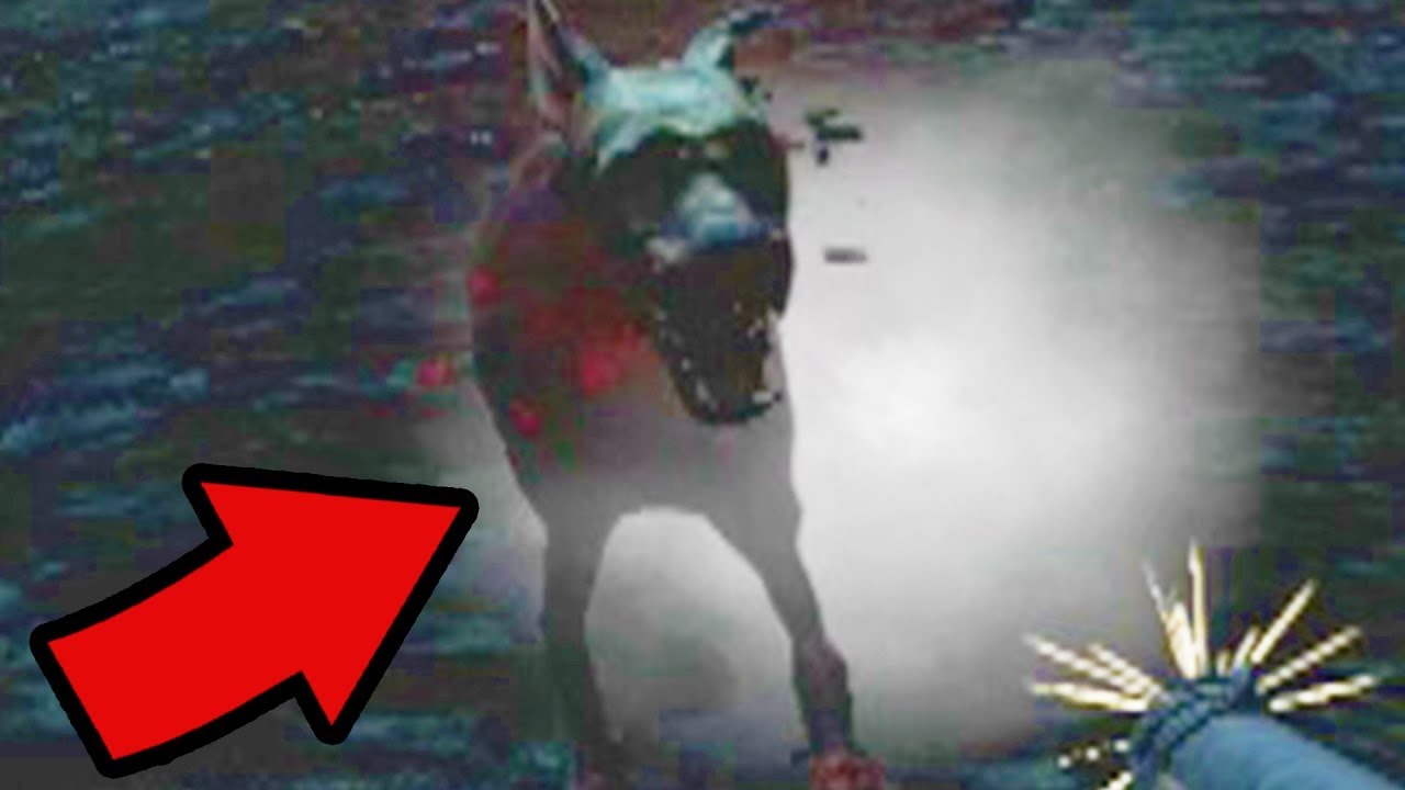 Hellhound Sightings