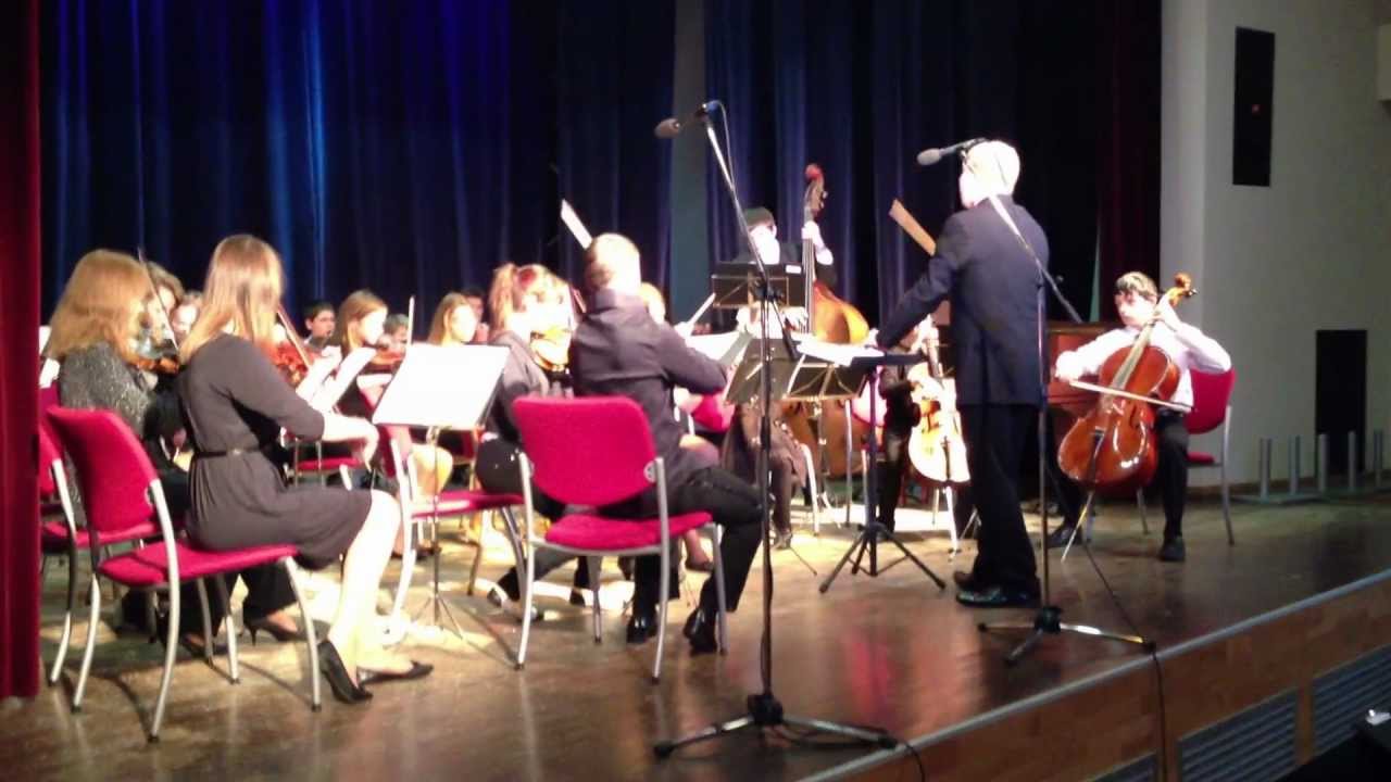 Karoliniskiu kamerinis orkestras - YouTube