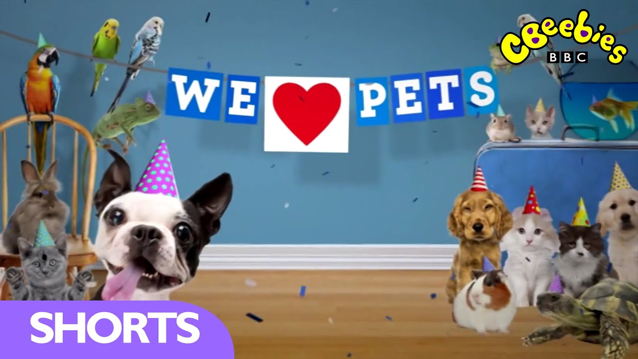 CBeebies: We Love Pets - Coming Soon TV Trailer - YouTube